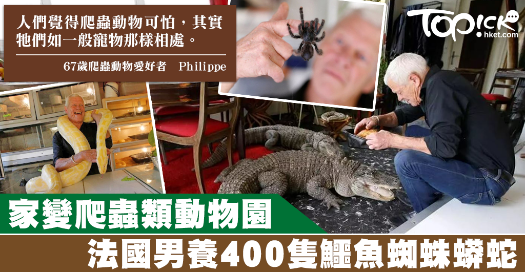 鱷魚蜘蛛大蟒蛇是家人 法國動物迷家養400隻被遺棄爬蟲動物
