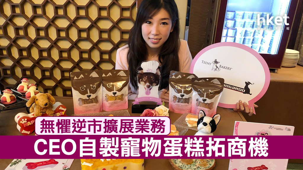 Dogaroo重塑品牌形象 多元化拓展寵物服務