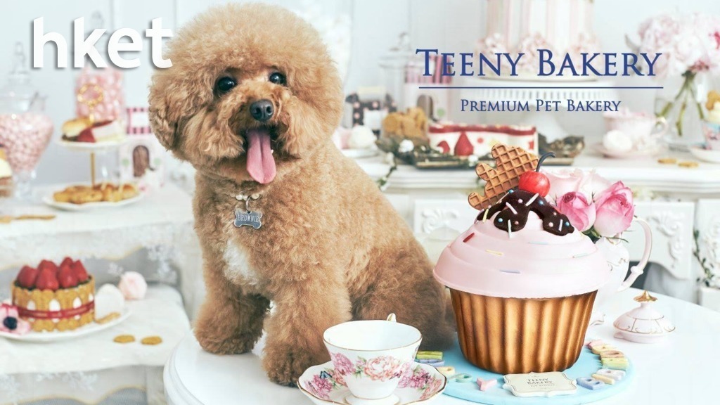 Dogaroo重塑品牌形象 多元化拓展寵物服務