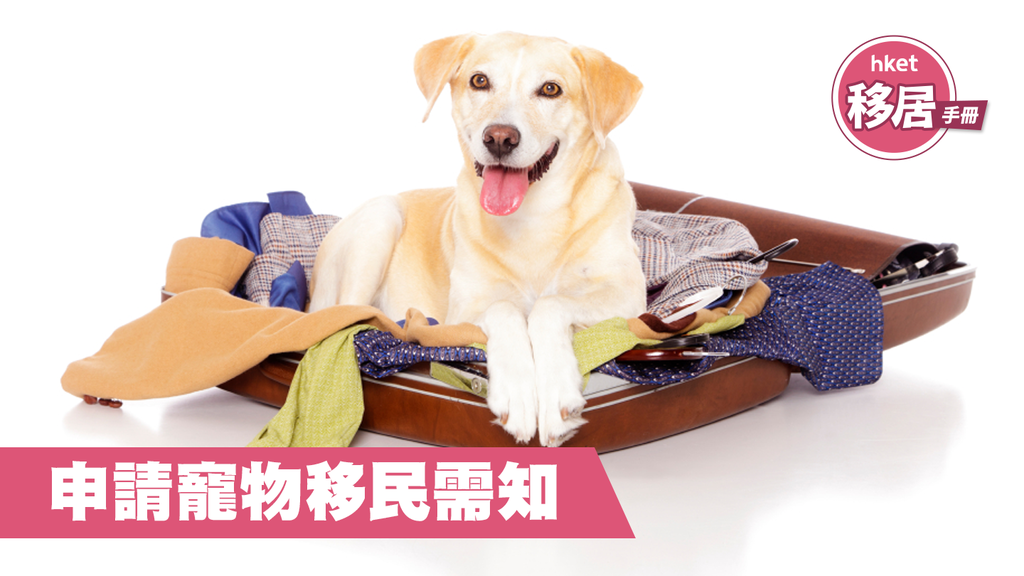 【寵物移民】申請寵物移民需知