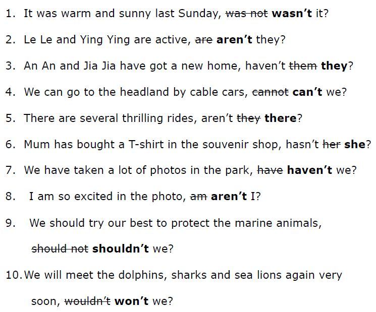 【小學試題】小五英文搶分練習題答案 掌握附加問句（Question Tags）用法