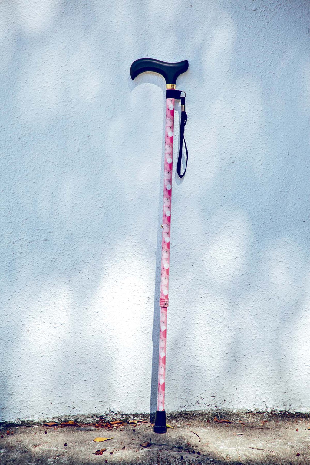 教你分「識」不同類型手杖