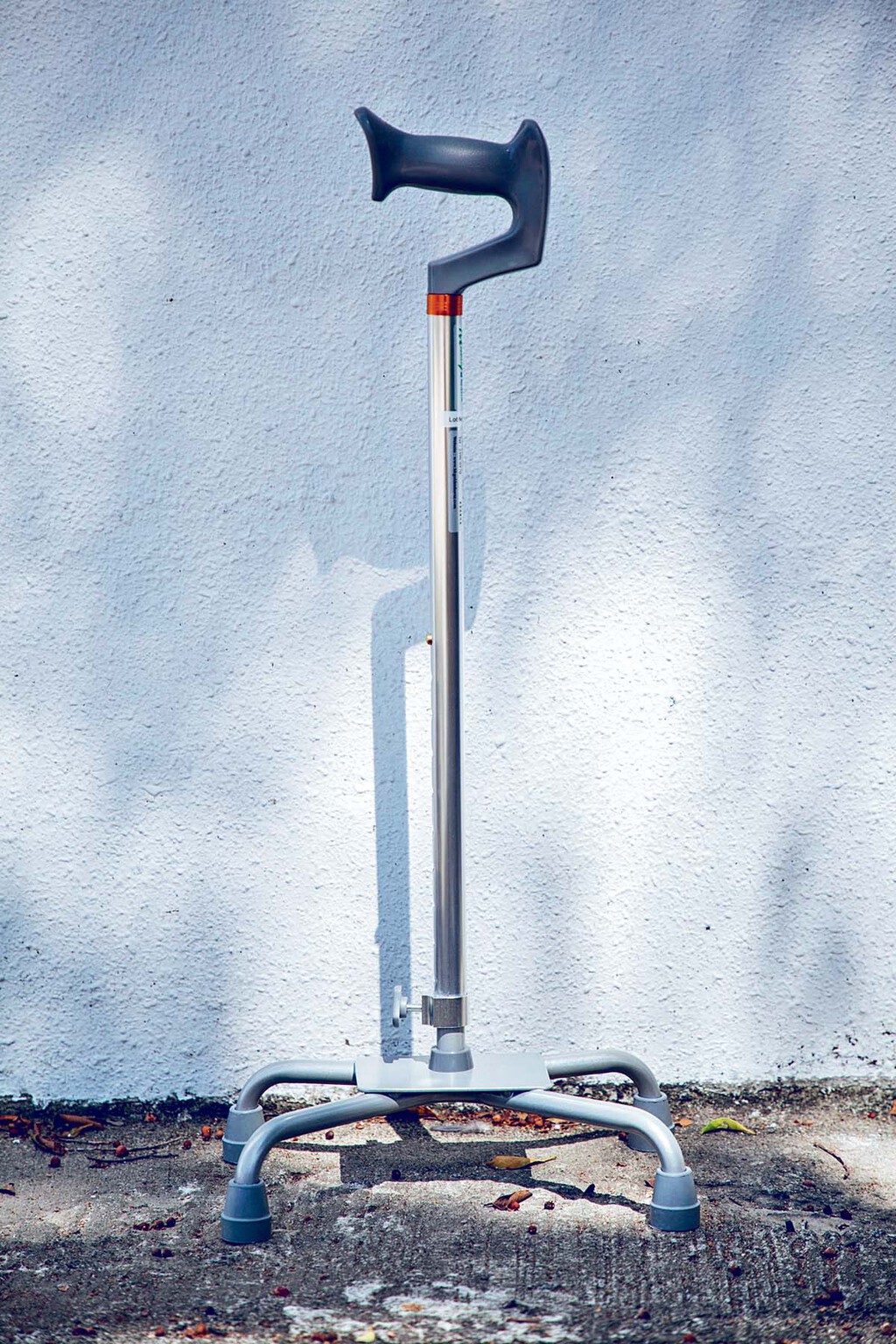 教你分「識」不同類型手杖