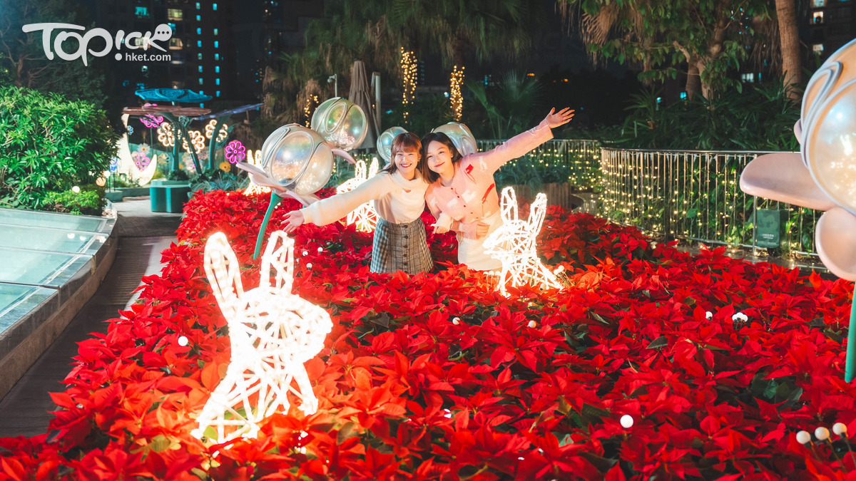 聖誕好去處｜5千朵星光花海登陸MOKO新世紀廣場 3大人氣餐廳進駐+壽司郎開業