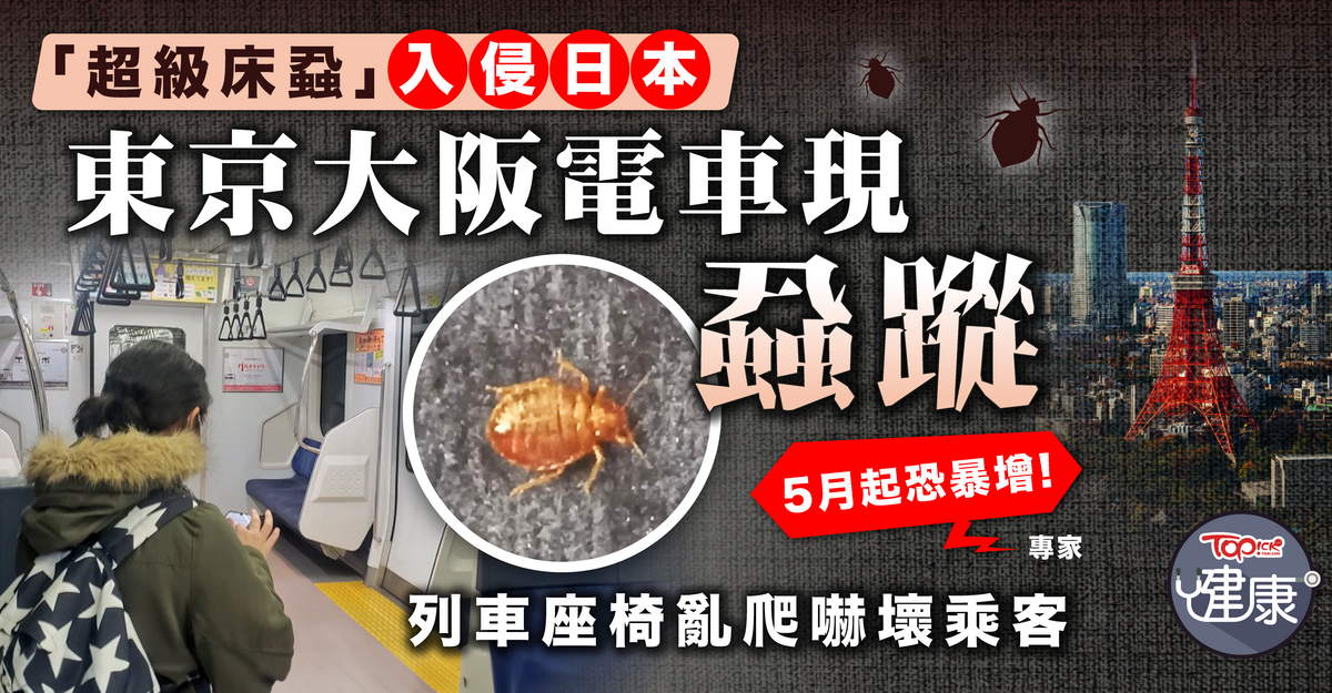 Attention when traveling｜"Super bed bugs" have invaded the Tokyo-Osaka ...