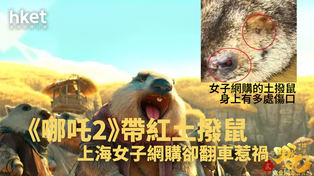 《哪吒2》帶紅土撥鼠 上海女子網購卻翻車惹禍