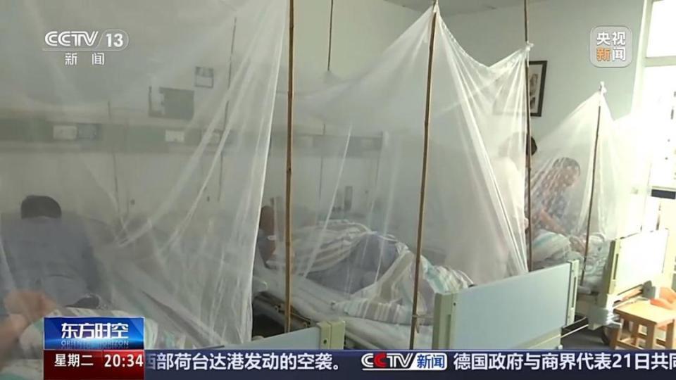 北上注意丨基孔肯雅熱肆虐廣東一周爆近3千宗 無特效藥嚴重可致腦膜炎一文睇5大感染症狀