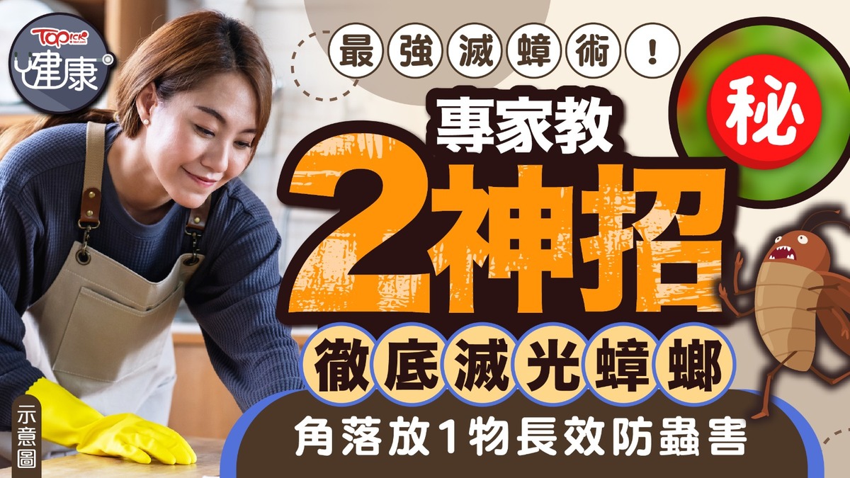 KO曱甴｜最強滅曱甴術！ 專家教2神招徹底滅光蟑螂 角落放1物長效防蟲害