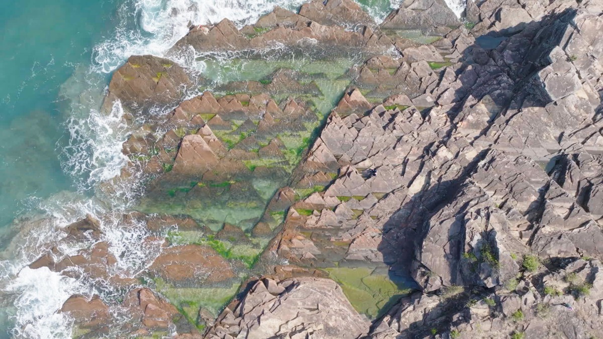 生態保育｜香港首個入選全國美麗海灣 大鵬灣水質達標率達100%獲評水清灘淨