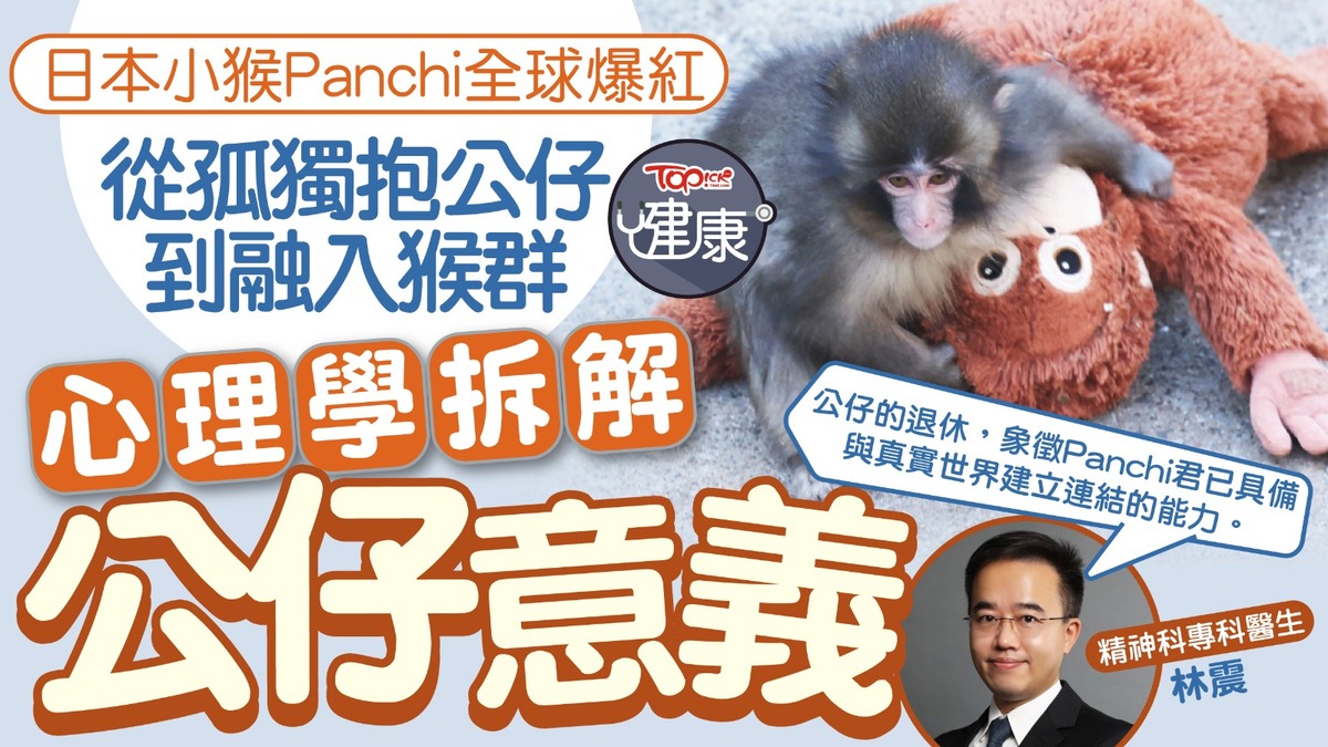 精神健康｜日本小猴Panchi全球爆紅 從孤獨抱公仔到融入猴群 心理學拆解公仔意義