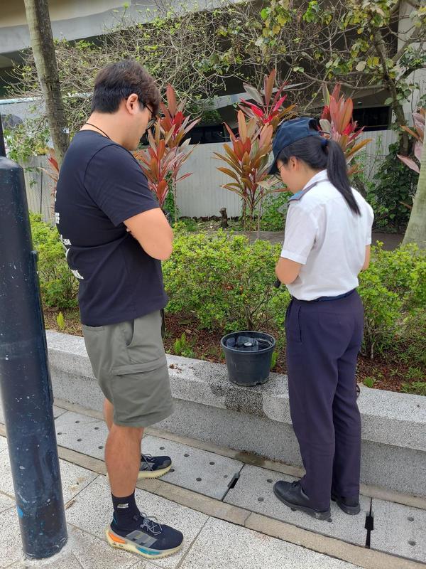 白紋伊蚊｜香港仔及鴨脷洲蚊患指數達20.8% 另有5區高過10%會有行動
