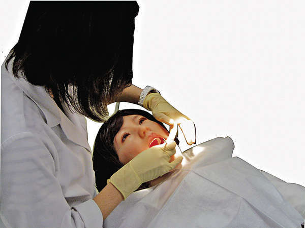 日本機械人攻港 做什麼工作